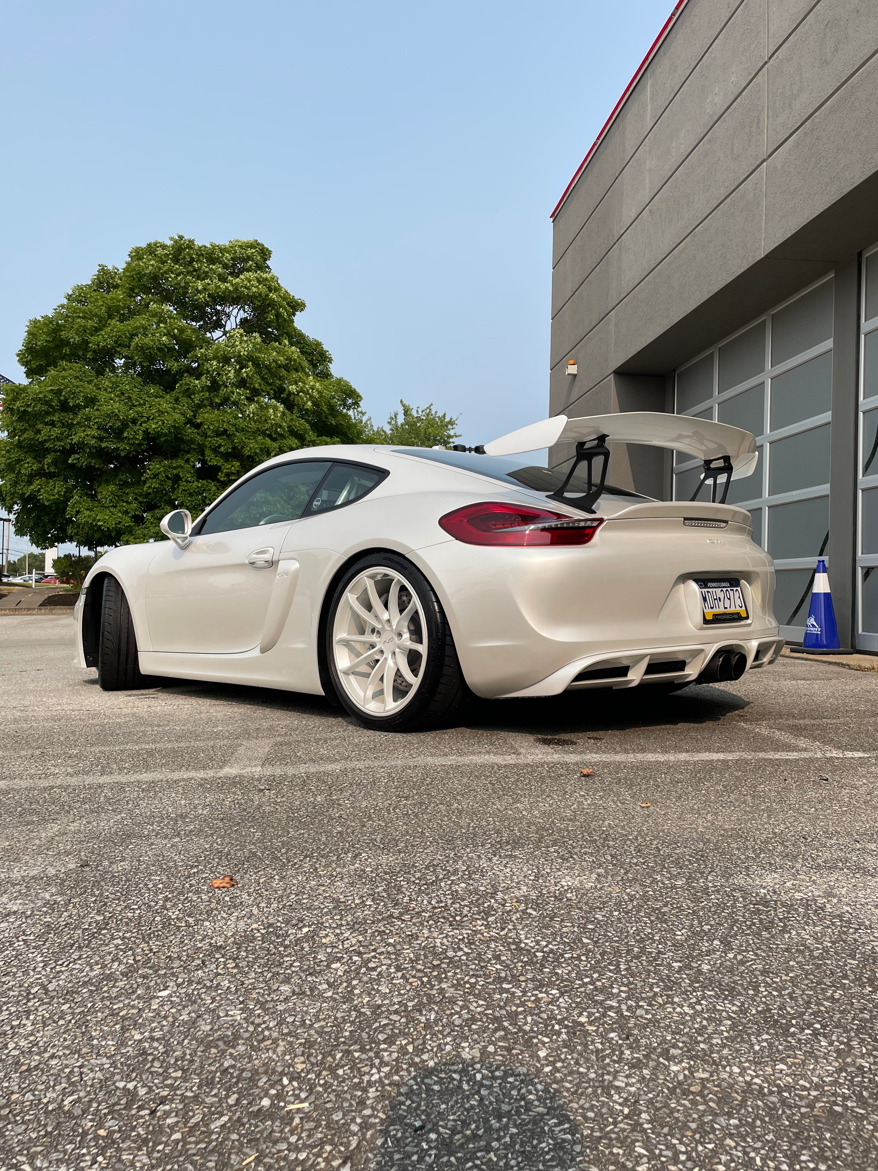 Porsche GT4 – Bux Customs